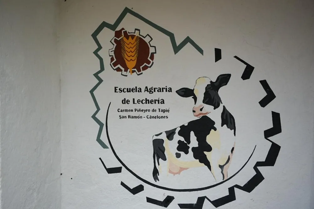 Anep Utu Logo